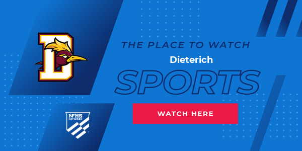 Dieterich High School - Dieterich, IL