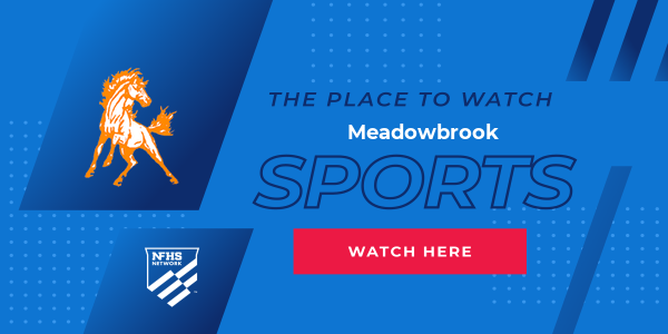 Meadowbrook High School - Byesville, OH
