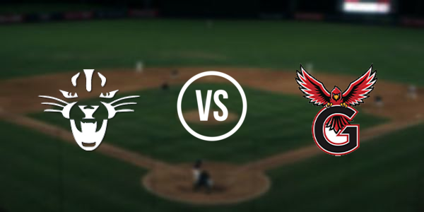 2025 VHSL Baseball Playoffs Deep Run High School vs. Gainesville High ...