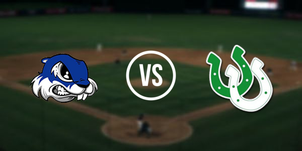 Arlington High vs Grand Prairie - Boys Varsity Baseball 03/12/2024 ...