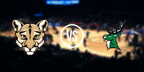 2025 MIAA Girls Basketball Playoffs Snowden International High School ...